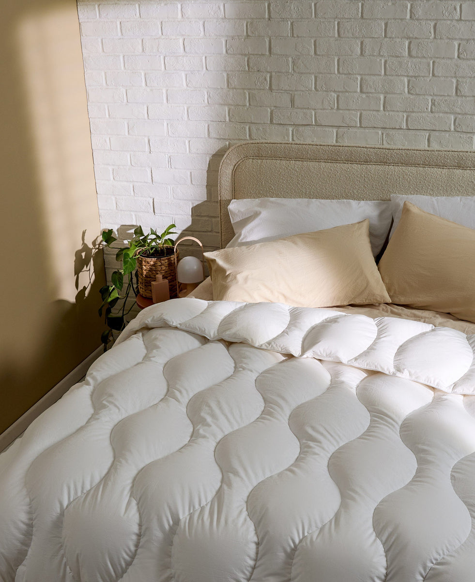 What is the Best Doona Filling – Bonny